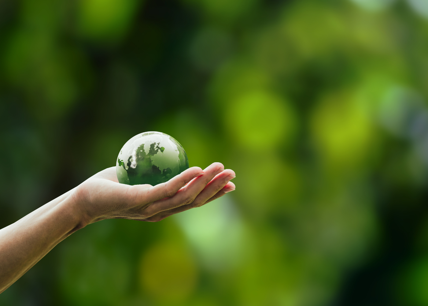How Small Food Swaps Can Cut Your Carbon Footprint | NUUDA