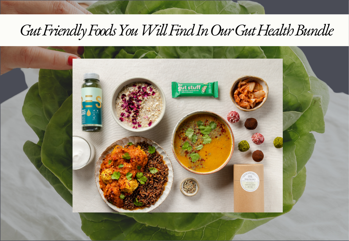 Gut Health Bundles by Pow Food: Probiotic & Prebiotic Meals for Better ...